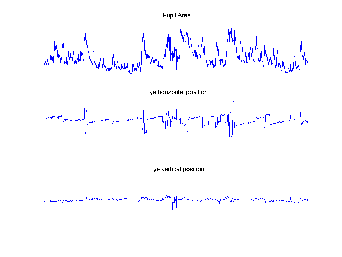 Eye Tracking – Scanbox