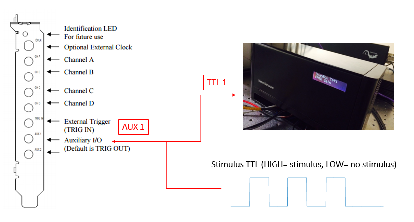 TTL synchronization – Scanbox